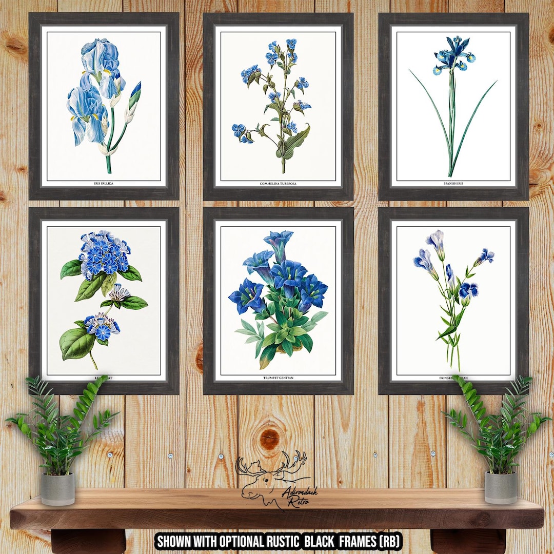 Blue Botanical Prints - Blue Floral Wall Art - Set of 6 Blue Flower ...