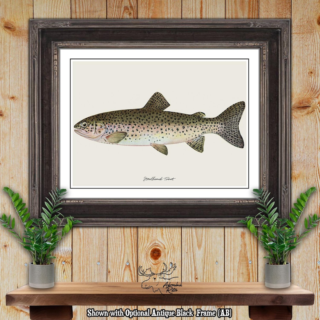 Steelhead Trout Print - Trout Fisherman Gift - Angler Gift - Steelhead ...