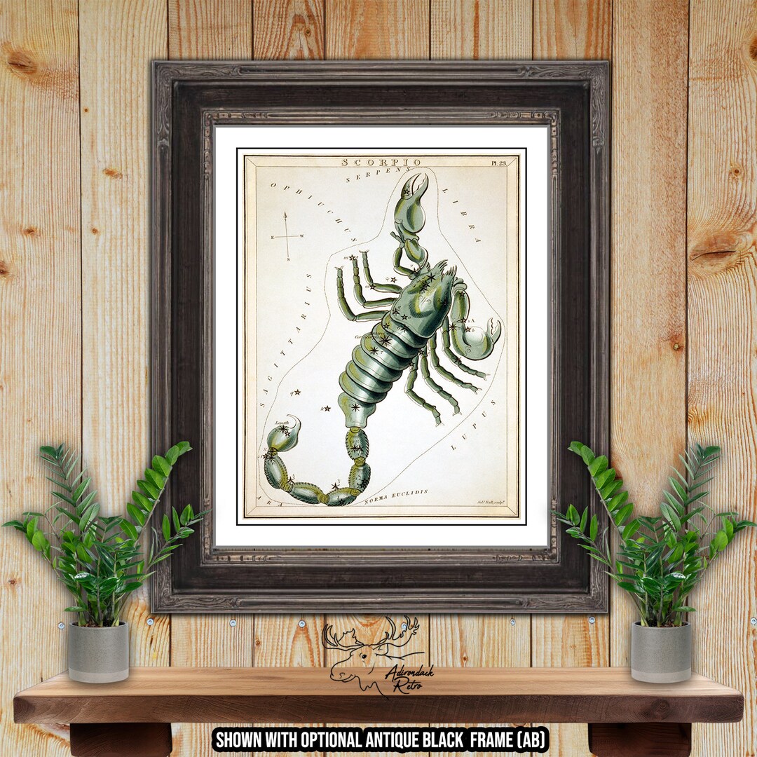 Scorpio Constellation Star Map by Sidney Hall Fine Art Astrology Print ...
