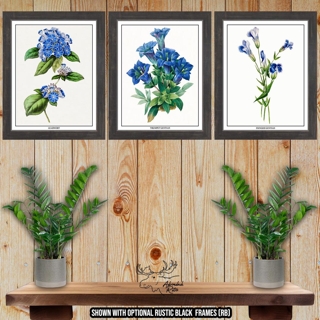 Blue Floral Posters - Botanical Wall Art - Group of 3 Blue Flower ...