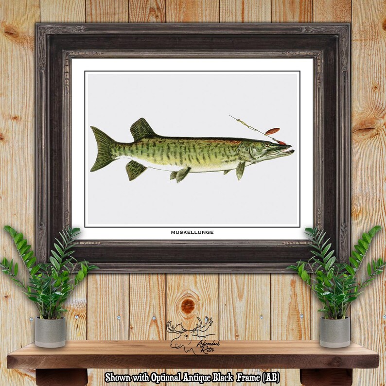 Pike Pickerel Muskie Print Set of 3 - Fisherman Gift - Angler Gift ...
