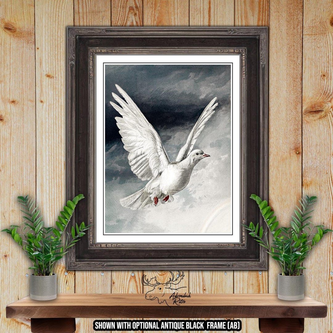 White Dove Print - White Dove Illustration - Christmas Wall Decor ...