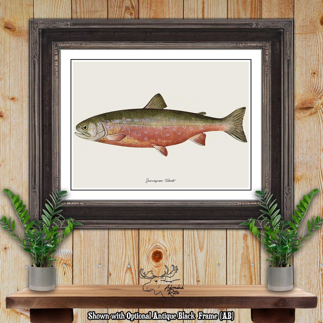 Sunapee Trout Print Trout Fisherman Gift Angler Gift Sunapee Trout ...