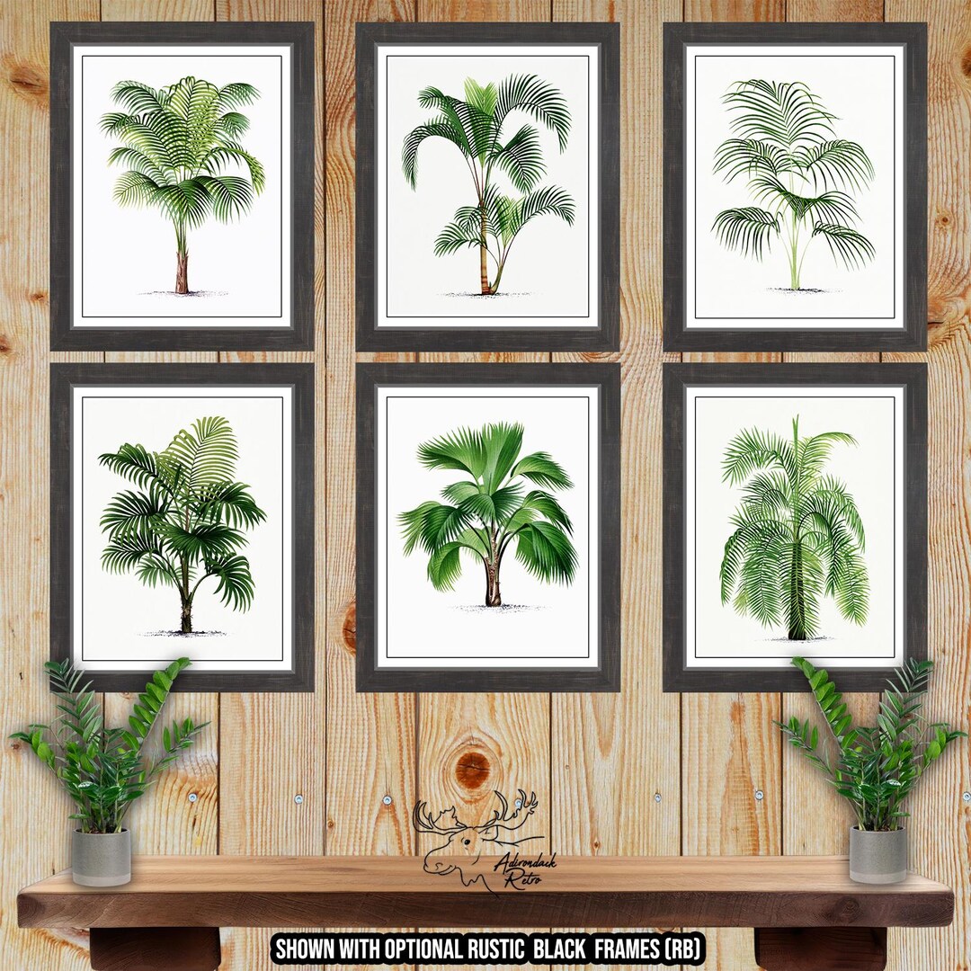Palm Tree Print Set of 6 Tropical Wall Art Palm Tree Posters Coastal ...