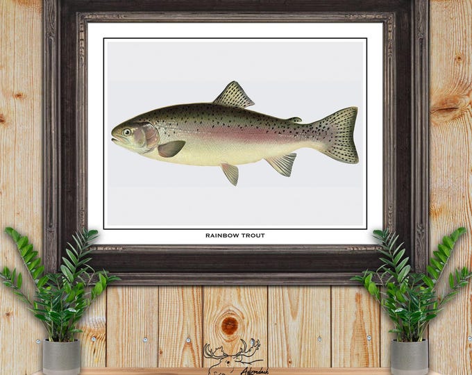 Fisherman Fishing Vintage Poster Art Retro Travel Poster Cabin Wall ...