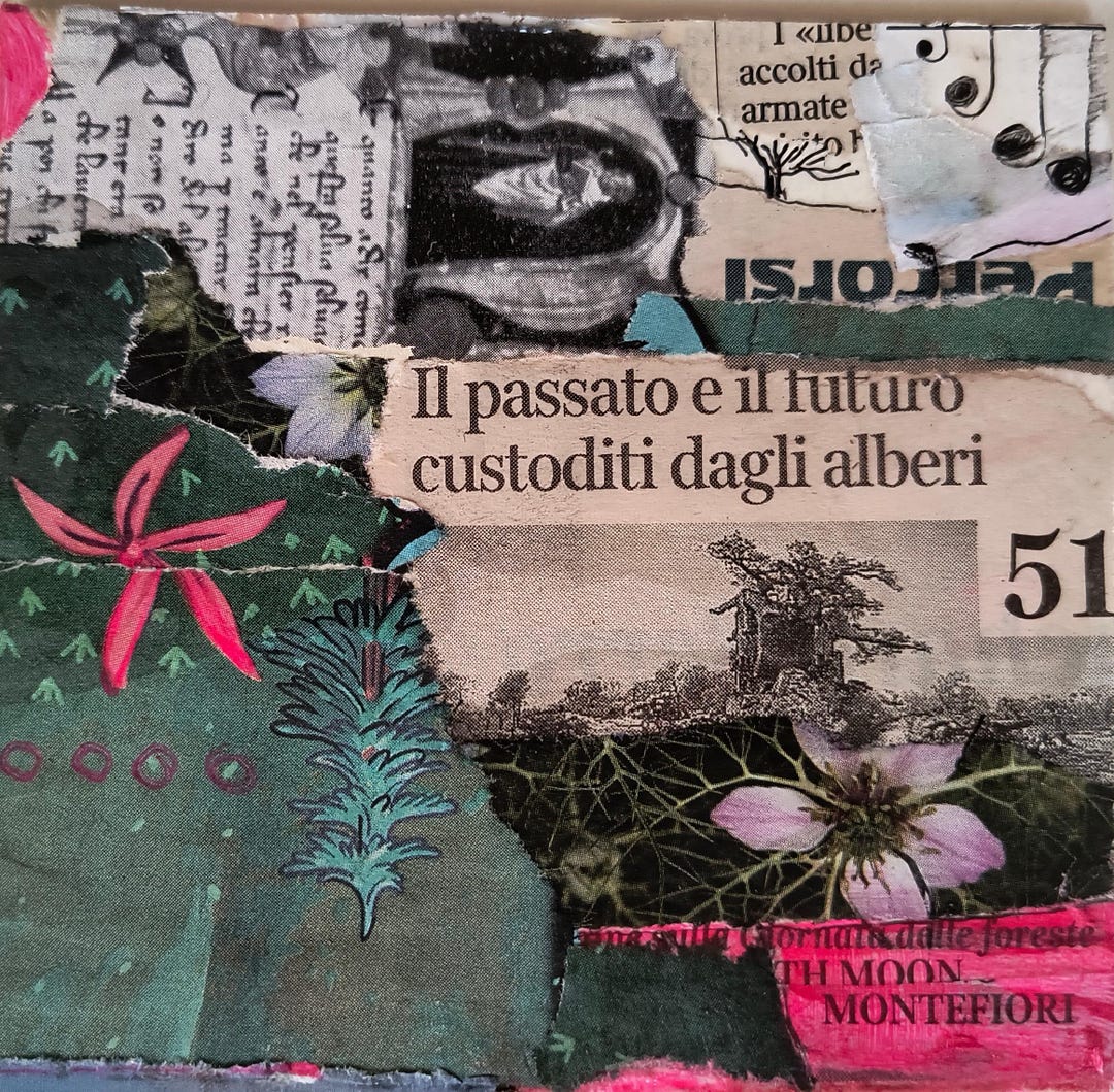 Collage, Collage Mix Media Paintings, Robertacolognipaints, Collage Art ...