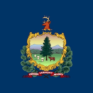 Vermont State Flag Decal 28" X 18" - Etsy
