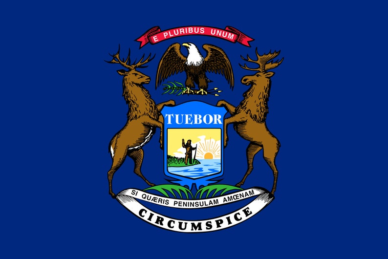 Michigan State Flag Decal 28" X 18" - Etsy
