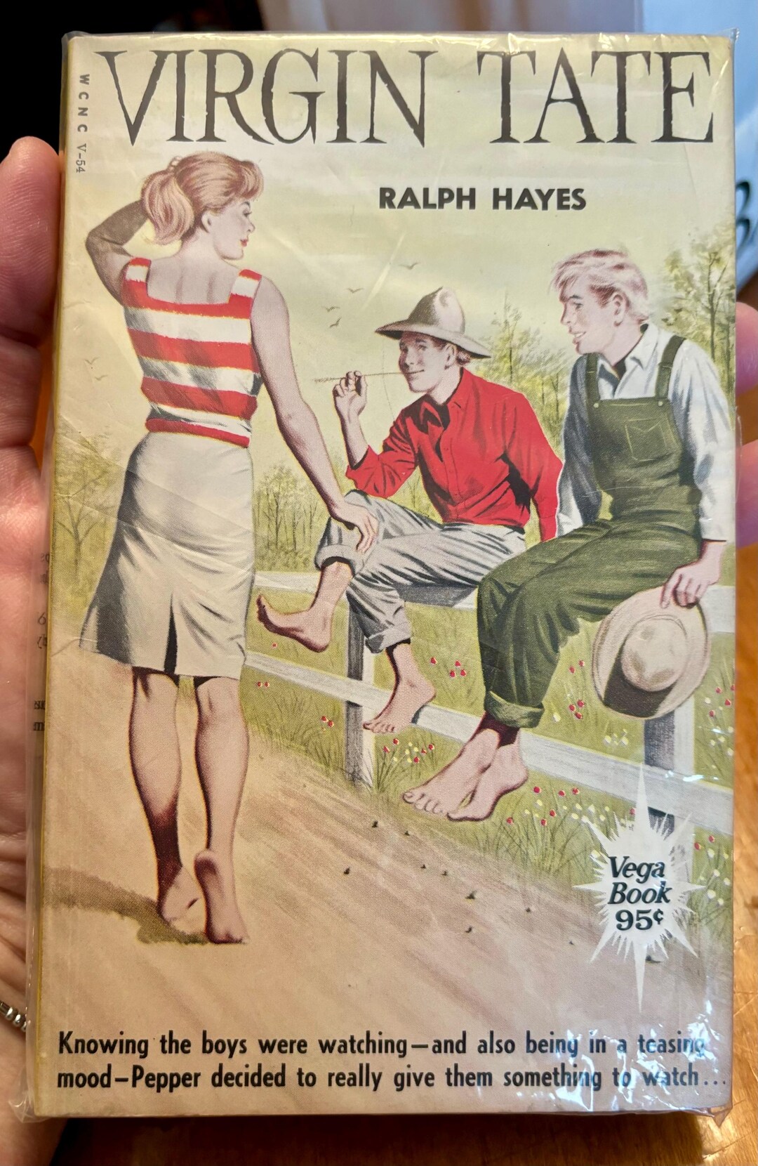 Libro de bolsillo vintage, Virgin Tate. 1967, Ralph Hayes, GGA. - Etsy ...