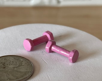 1:12 Miniature Hand Weights , Miniature Dumbbells , Miniature Lifting ...