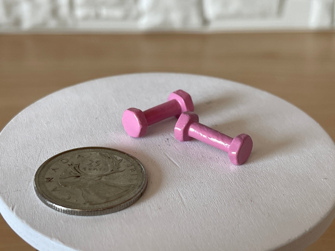 1:12 Miniature Hand Weights , Miniature Dumbbells , Miniature Lifting ...