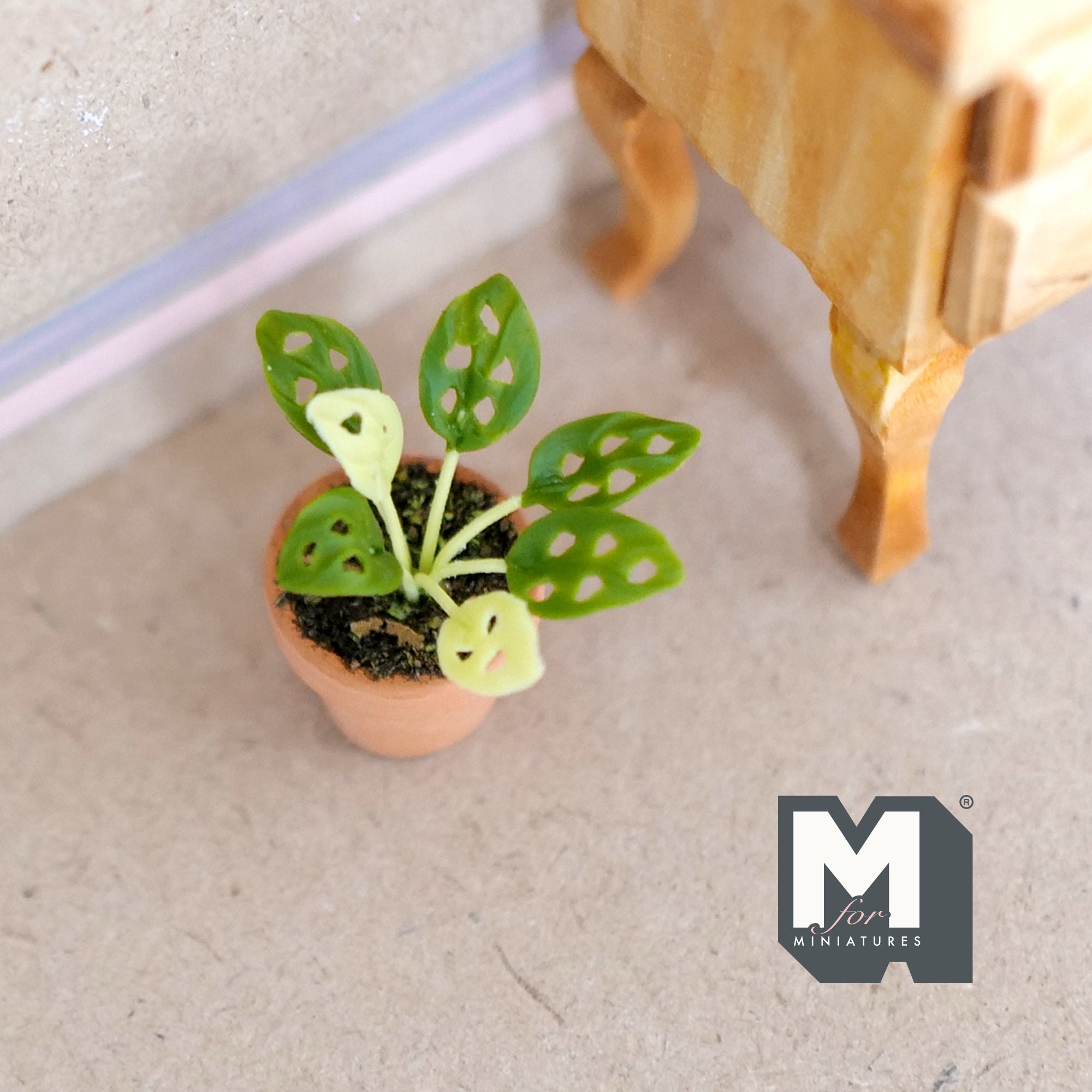 1:12 Scale Miniature Perforate Leaves Fenestrated Leaves Holey Plant ...