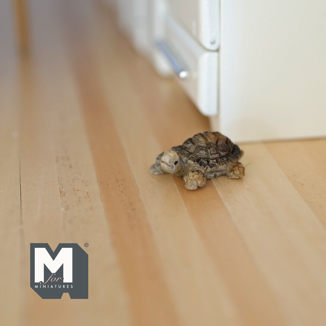 Miniature Tortoise , 1:12 Scale Dollhouse Supplies Turtle G047 - Etsy