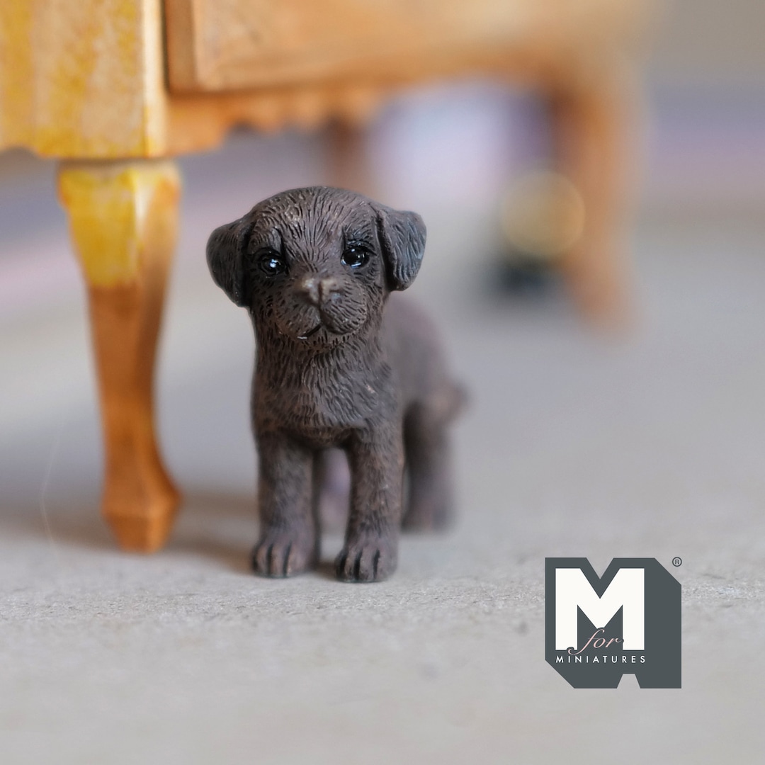 Miniature Standing Labrador Puppy 1:12 Scale Diorama Dog 15/16 Inch ...