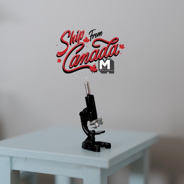 Miniature Slide - Etsy