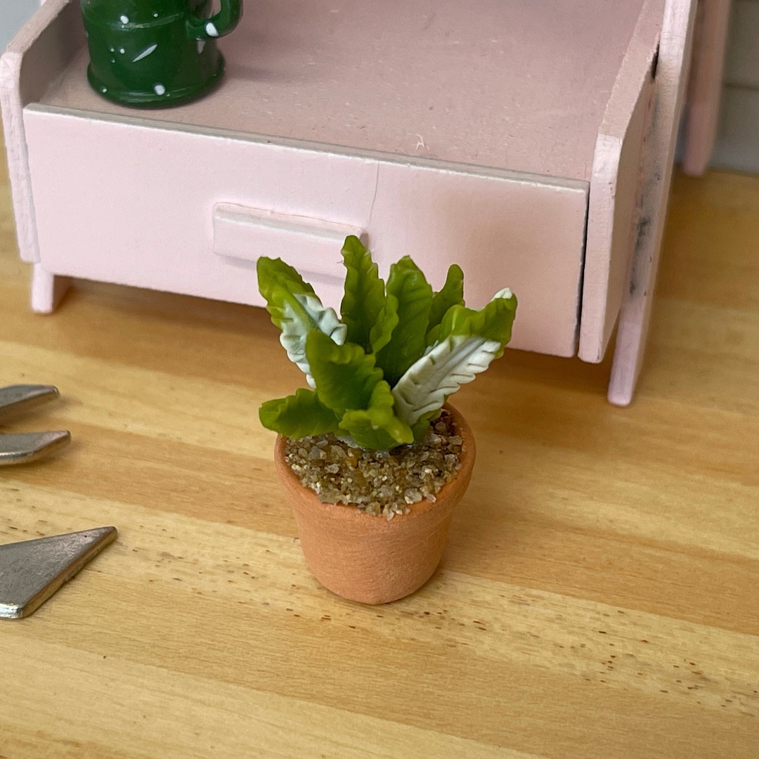 Cactus miniature à l'échelle 1:12 dans un pot rond en argile, fleurs et ...