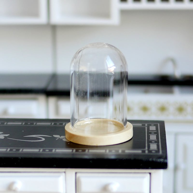 Glass Dome Display - Etsy