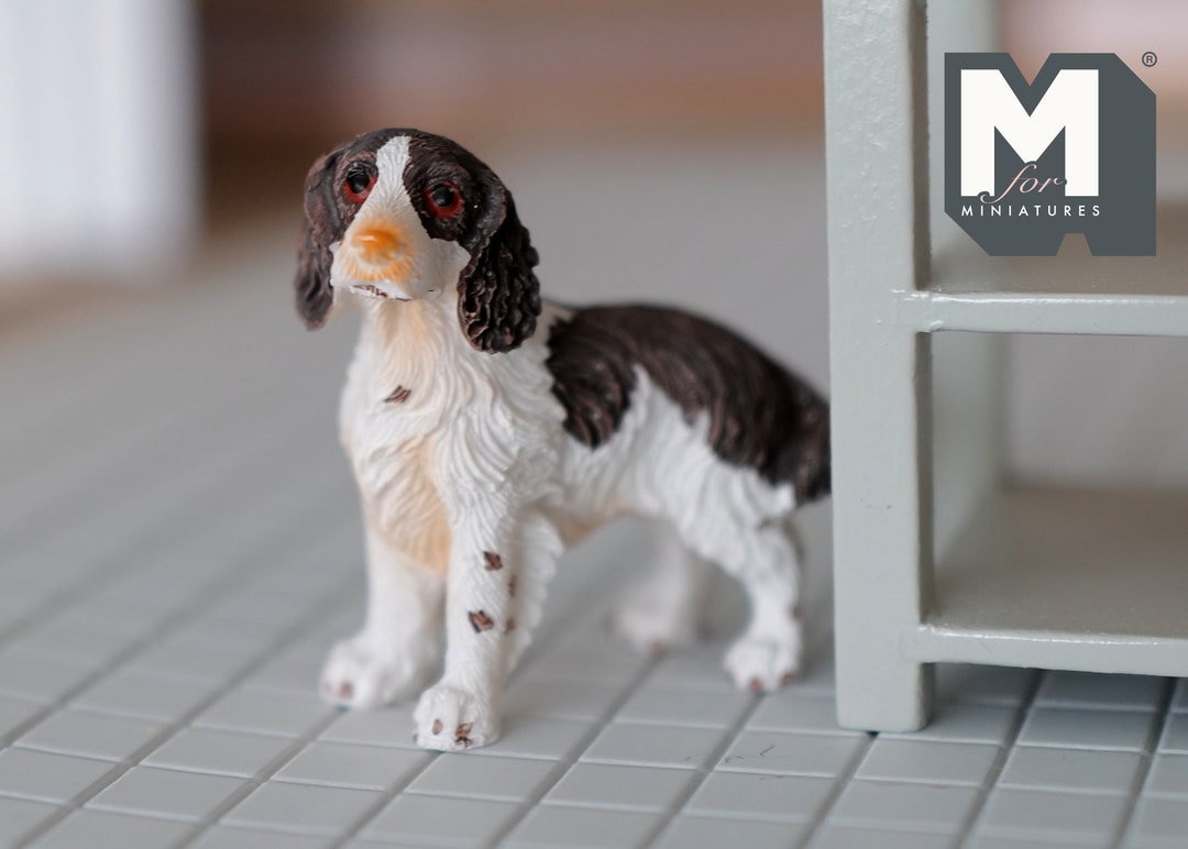 1:12 Dollhouse Supplies Miniature Standing Springer Spaniel C055 - Etsy