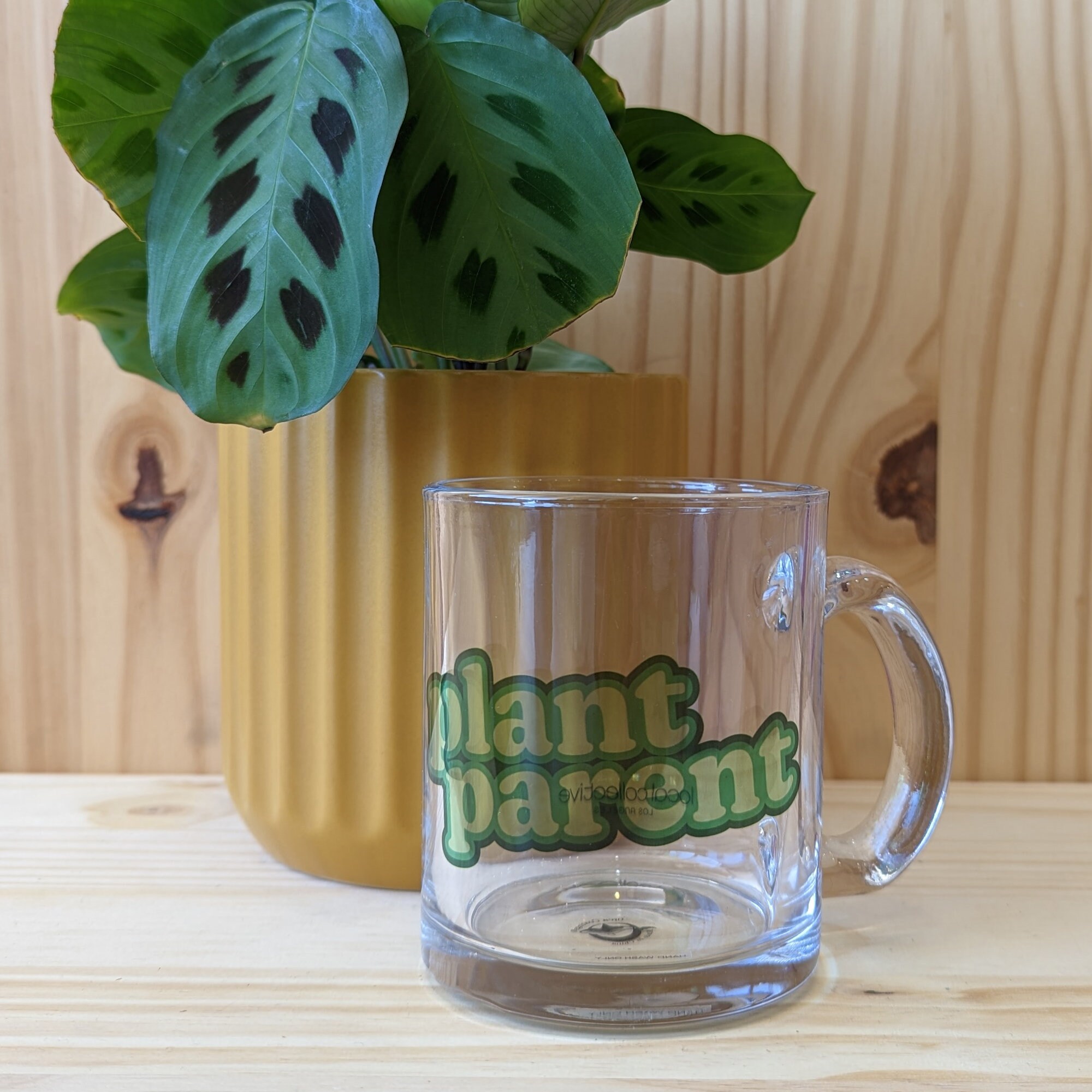Plant Parent Clear Glass Mug Plant Person Coffee Mug Tea - Etsy