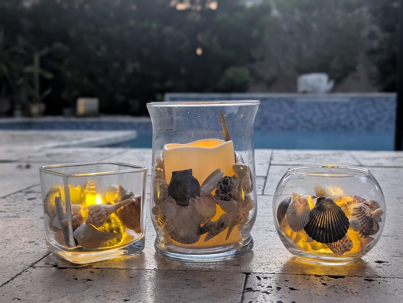 Authentic Seashell Centerpieces With Tealight. - Etsy