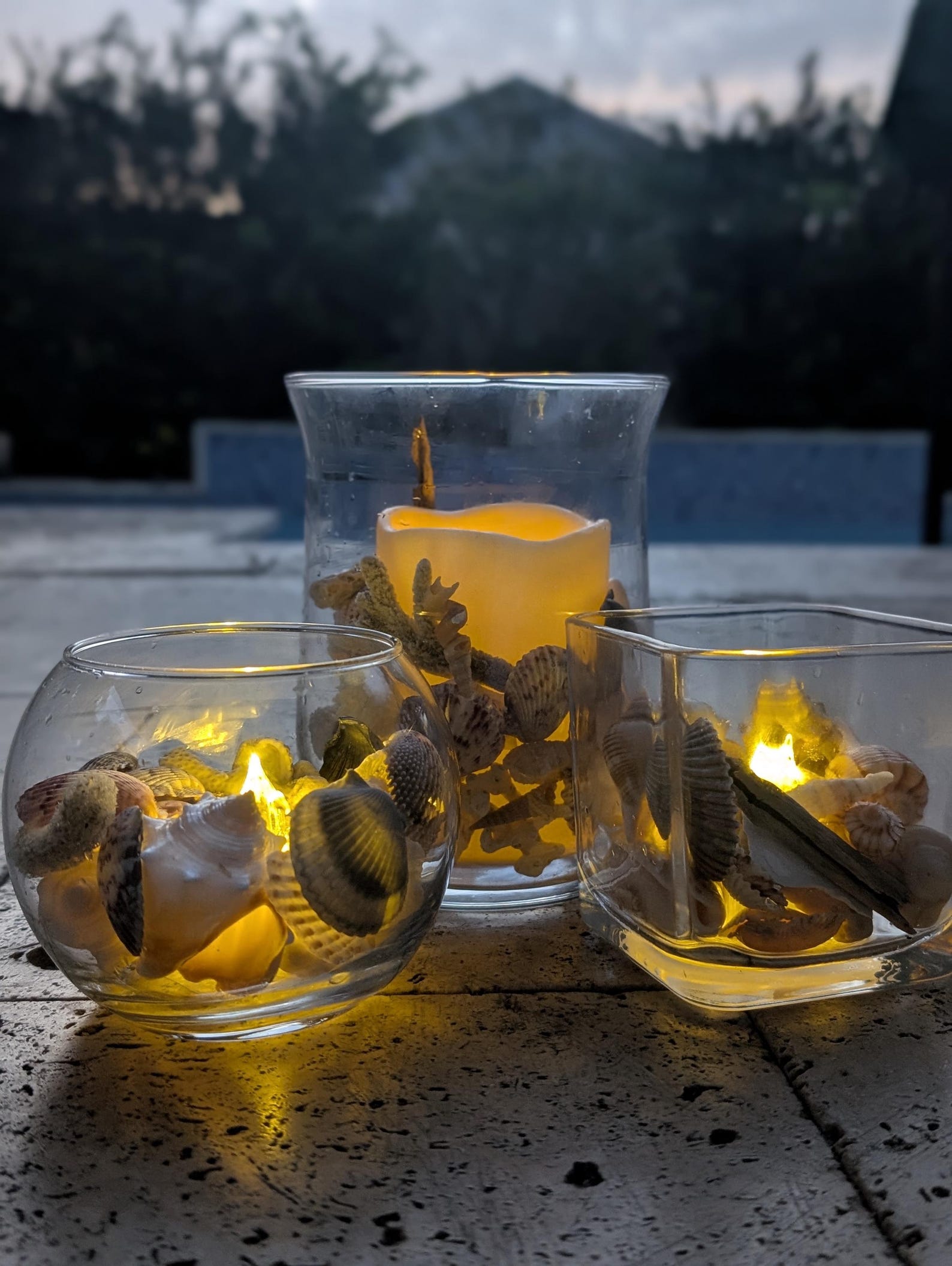 Authentic Seashell Centerpieces With Tealight. - Etsy