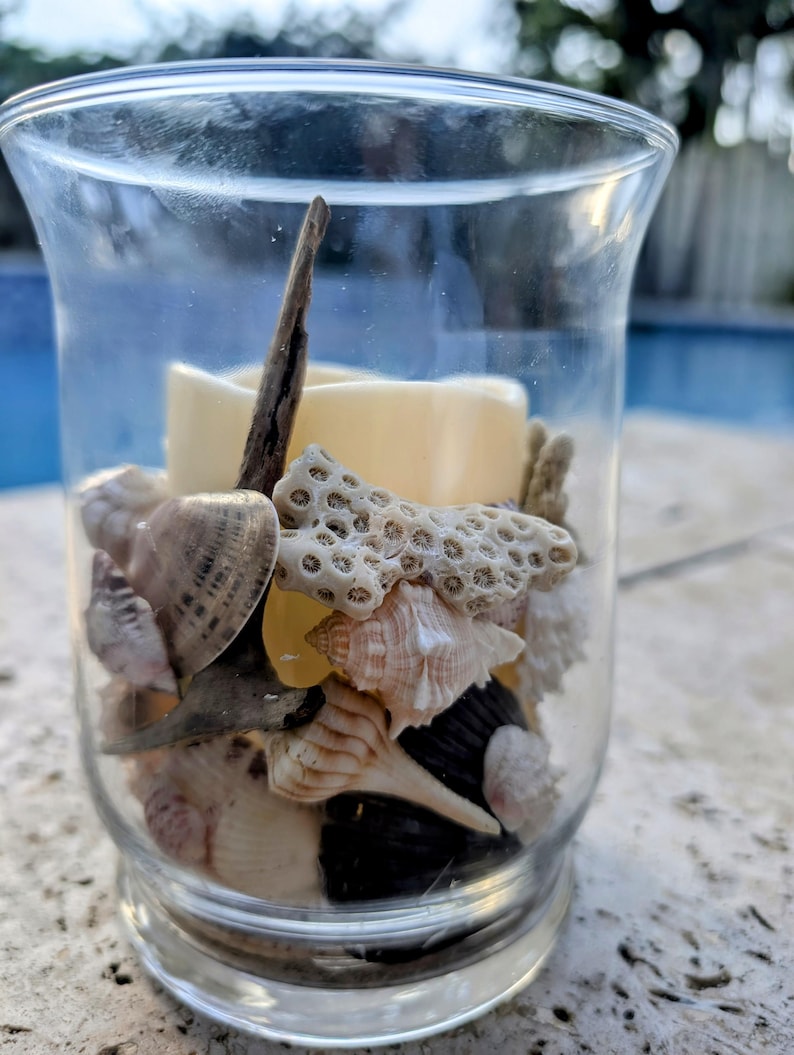 Authentic Seashell Centerpieces With Tealight. - Etsy