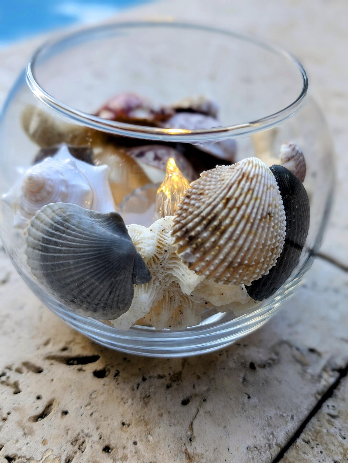 Authentic Seashell Centerpieces With Tealight. - Etsy