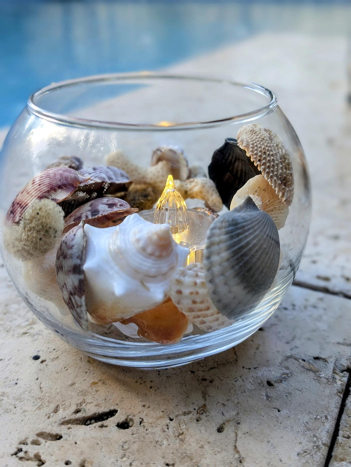 Authentic Seashell Centerpieces With Tealight. - Etsy