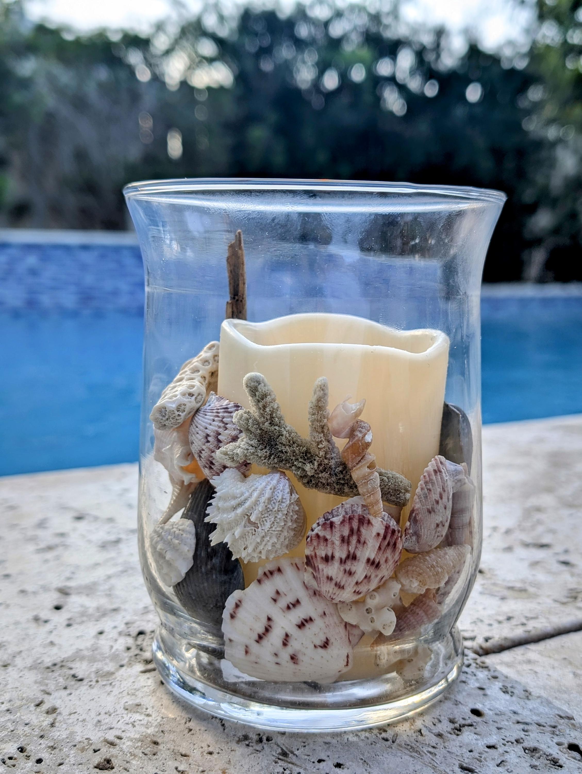 Authentic Seashell Centerpieces With Tealight. - Etsy