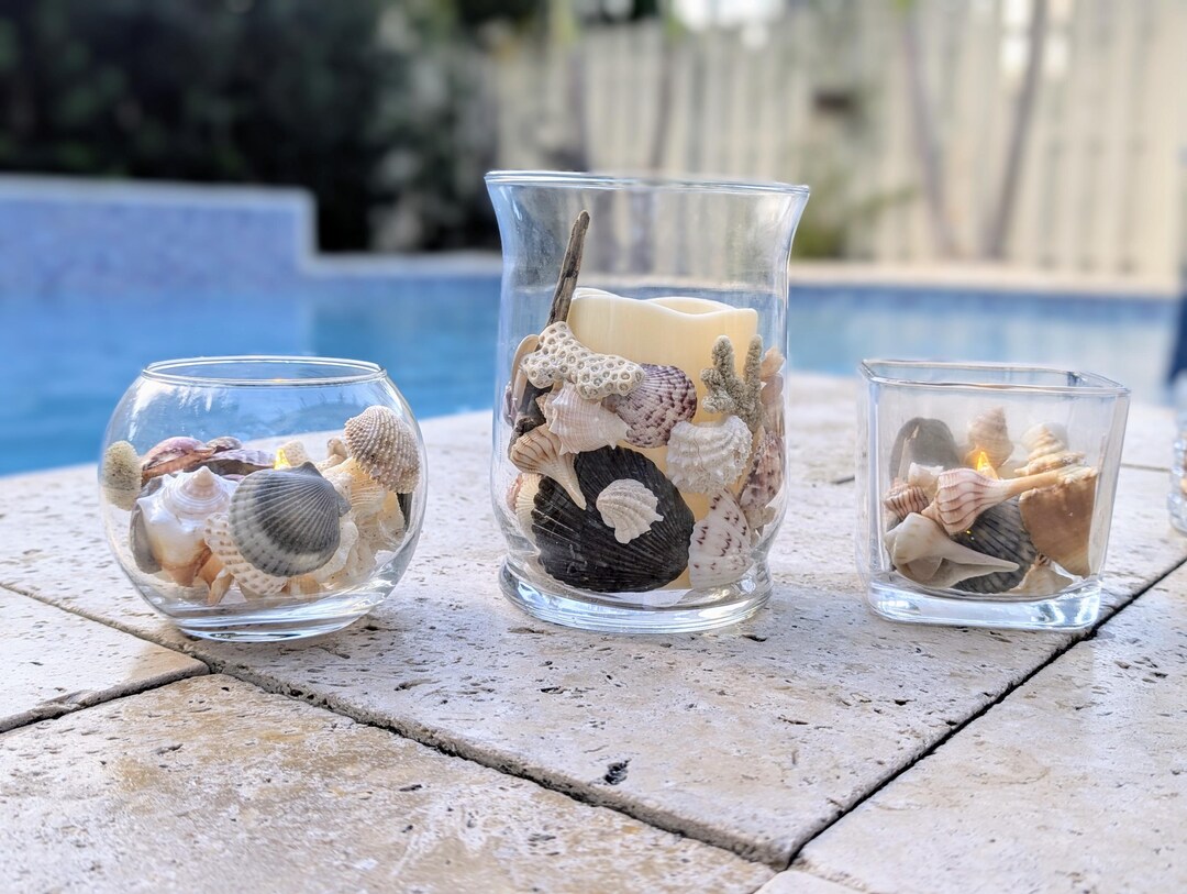 Authentic Seashell Centerpieces With Tealight. - Etsy