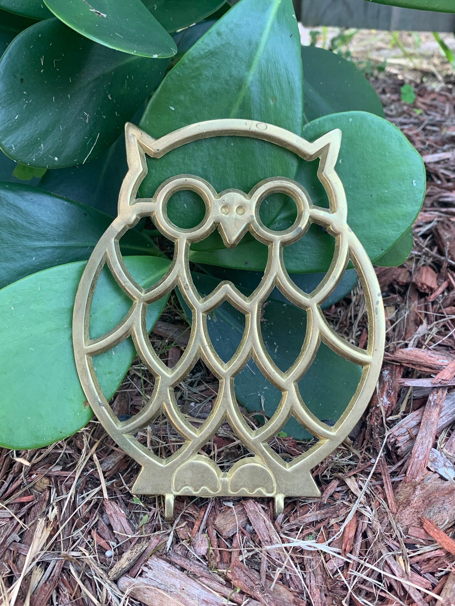 Vintage Mid Century Smarty Brass Owl Trivet With Glasses - Etsy