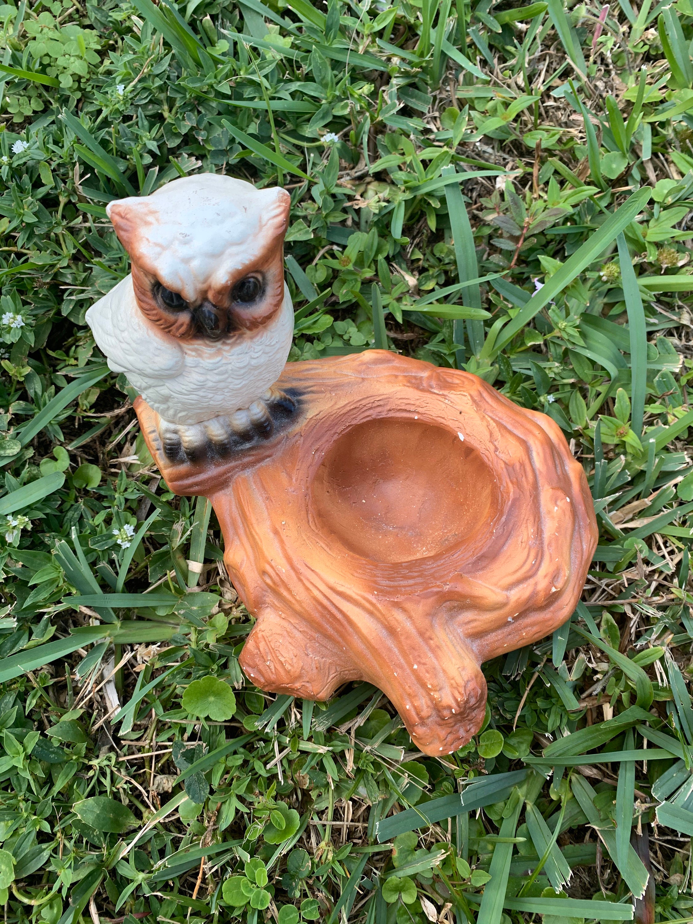 Vintage White Chalkware Owl Trinket Dish/ Change Dish - Etsy
