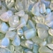 Insane Deal Opalite Tumbled Stone Bulk Lot – 2 - 30 LB Wholesale ...