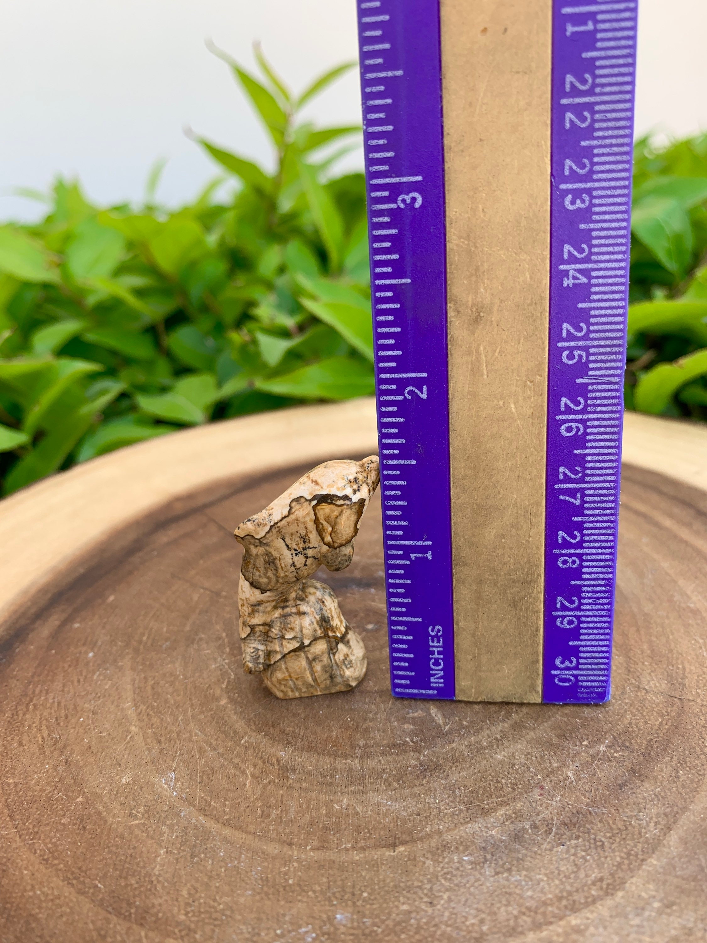 Mini Desert Jasper Dolphin Statue Polished Carving Crystal - Etsy