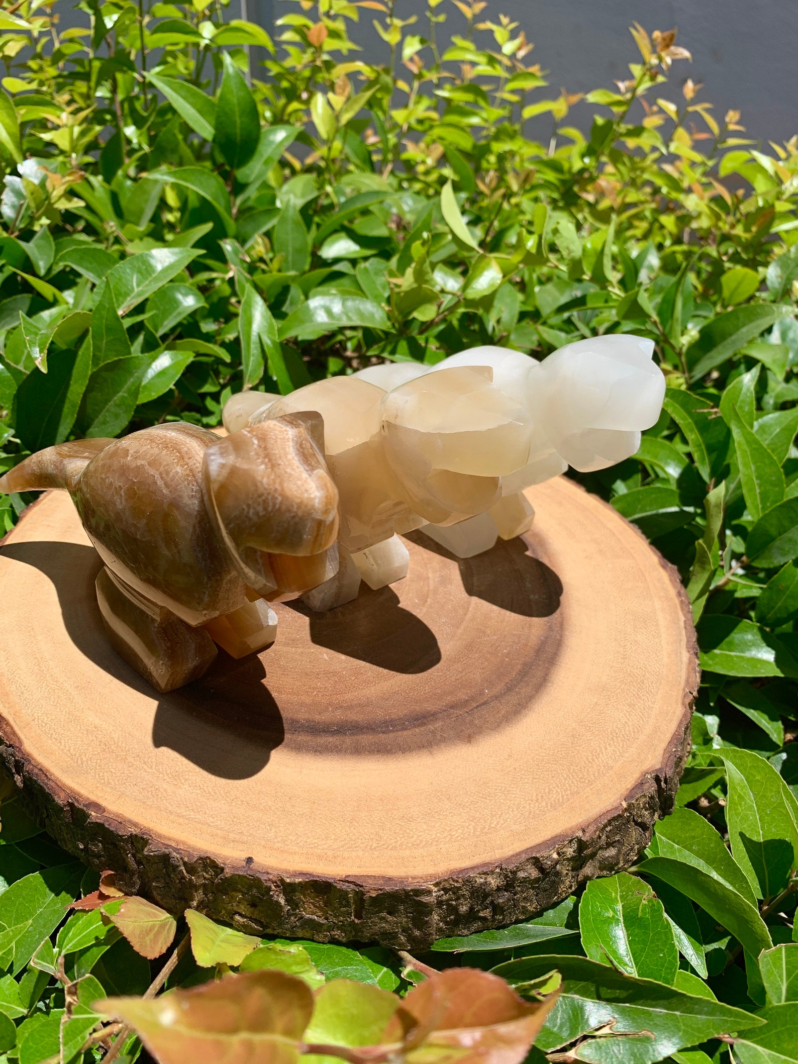Large Amber Onyx T-rex Carving Tyrannosaurus Carving Stone - Etsy