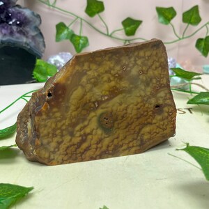 Beautiful Cornflake Agate Specimen (exact Item), 1 Lb 13 Oz, Unpolished ...
