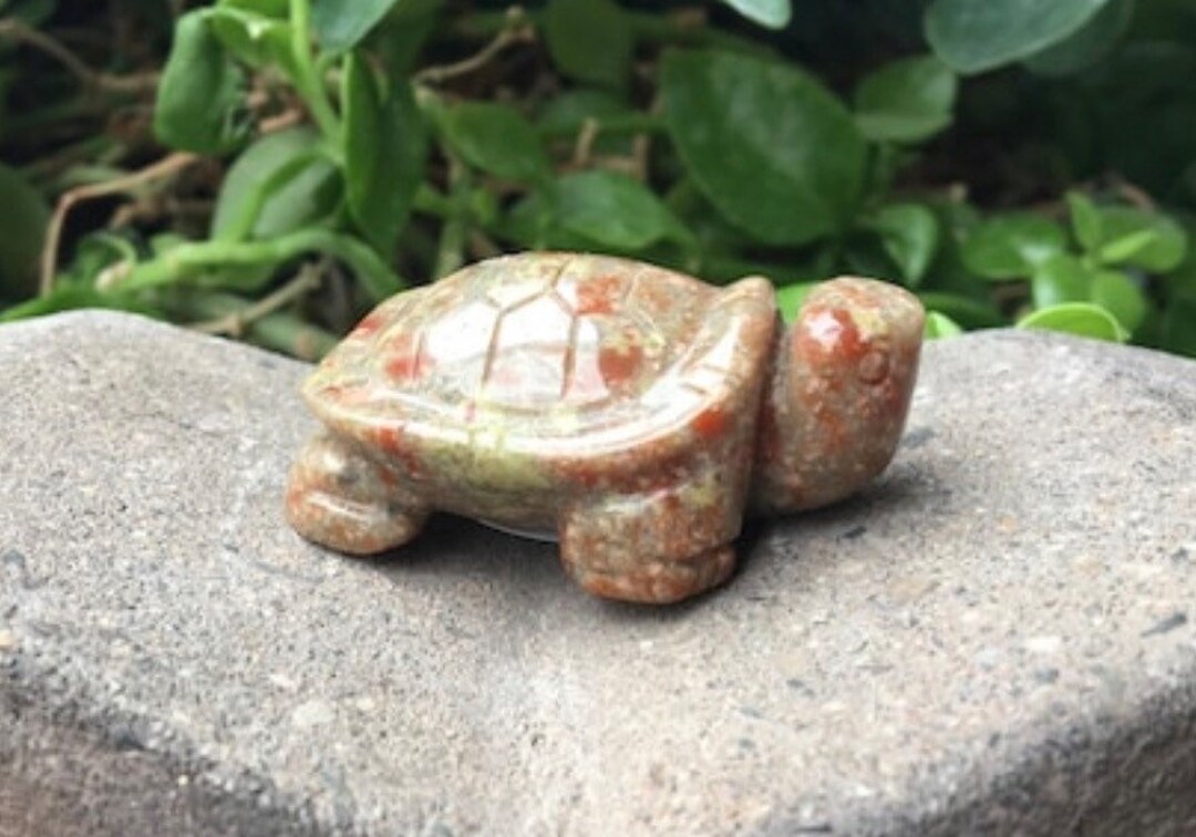 Sea Jasper Turtle Stone Carving Turtle Carving Crystal - Etsy
