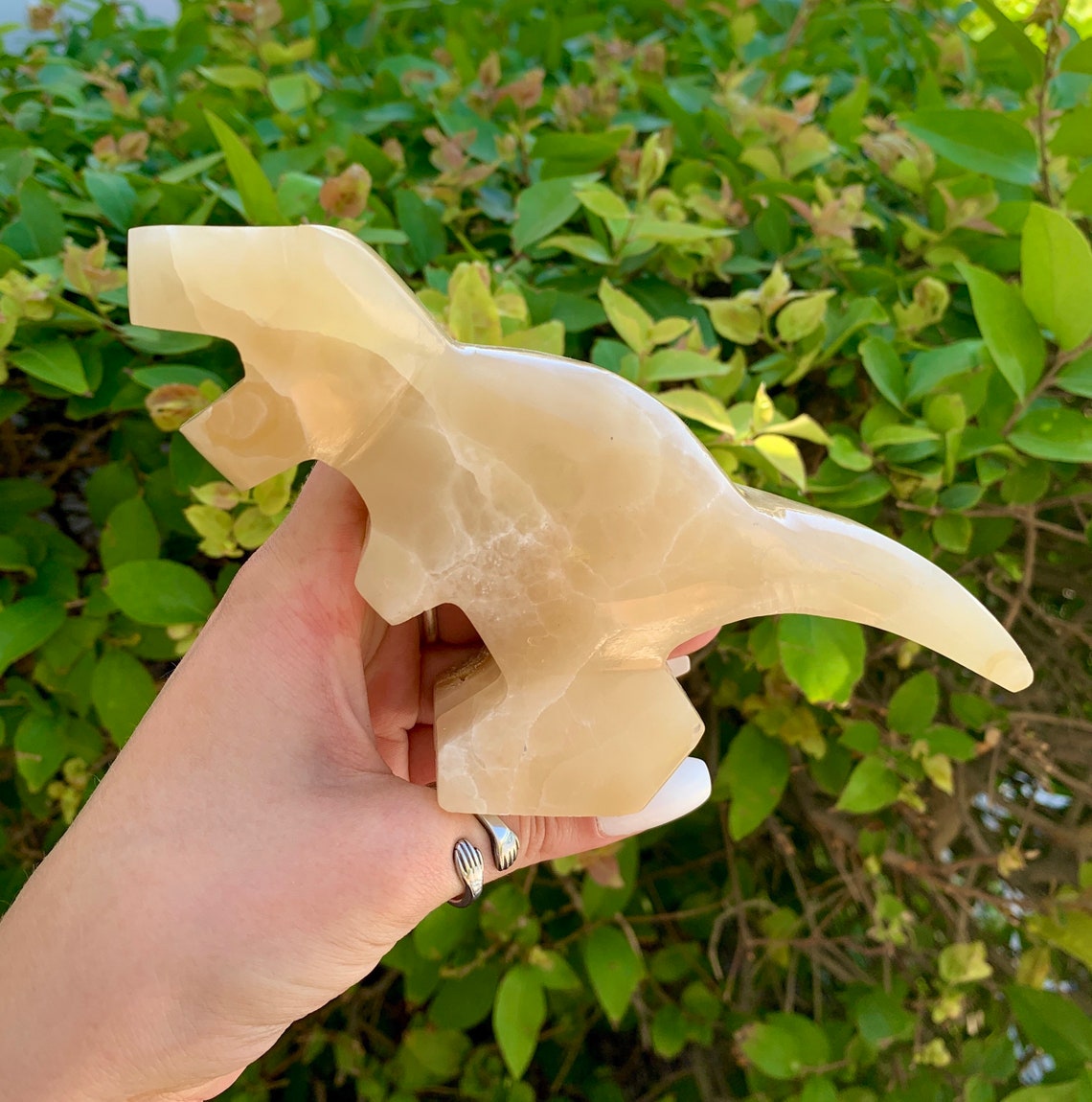 Large Amber Onyx T-rex Carving Tyrannosaurus Carving Stone - Etsy