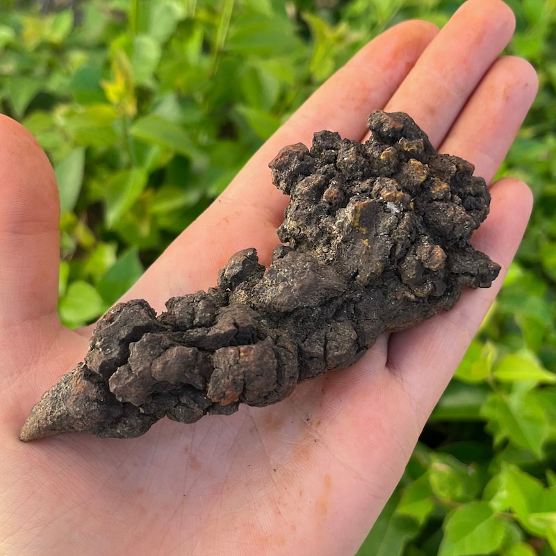 Dinosaur Dung - Etsy