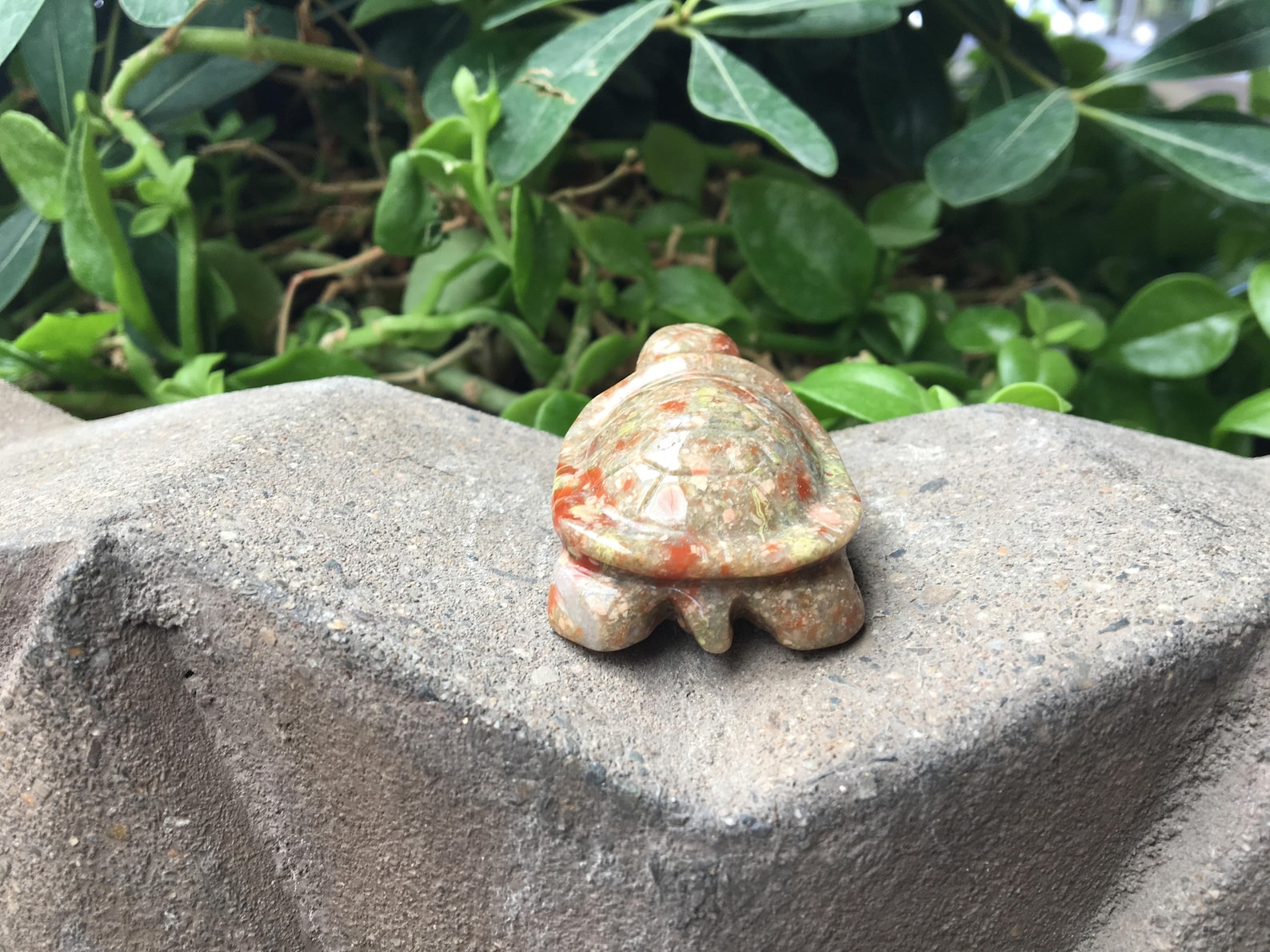 Sea Jasper Turtle Stone Carving Turtle Carving Crystal | Etsy
