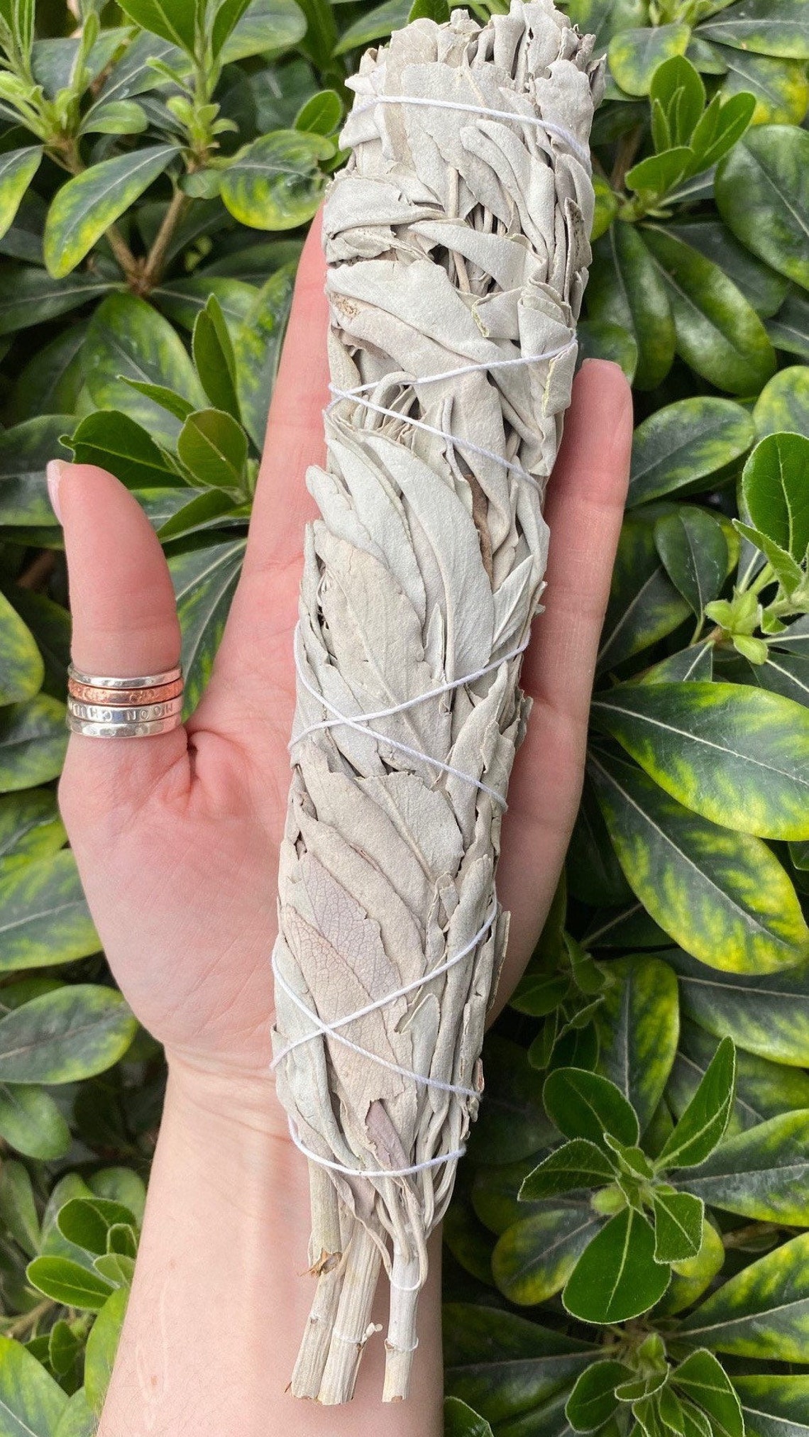 Sage Bundle 7 Inch Sage Sage Bundle Cleansing Clear Energy | Etsy