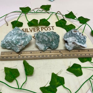 Rough Tree Agate Chunk, Beautiful Garden Green Grounding Energy ...