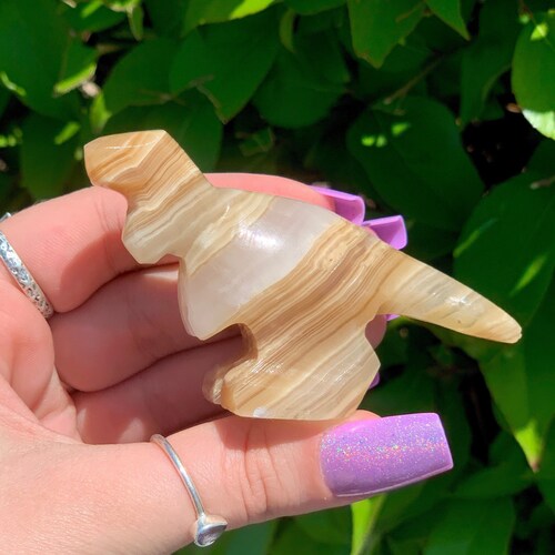 Zebra Onyx Small T-rex Stone Carving Polished Tyrannosaurus - Etsy