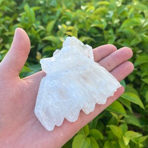 Raw Selenite Fishtail Specimen, Angel Wing Selenite, Natural Unpolished ...