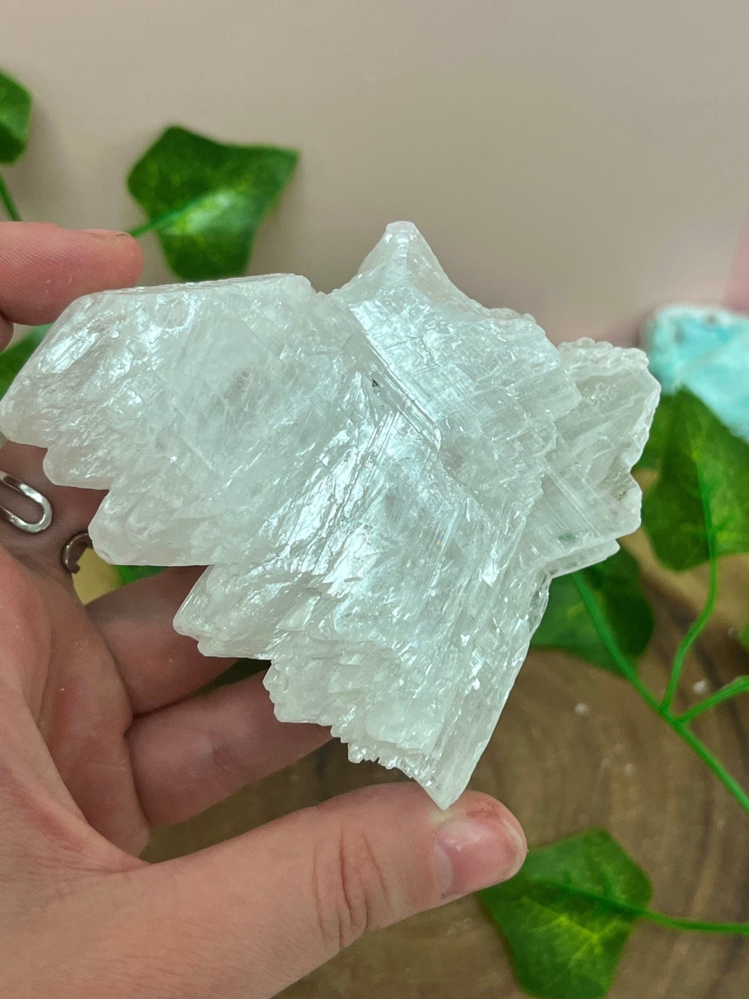 Raw Selenite Fishtail Specimen, Angel Wing Selenite, Natural Unpolished ...