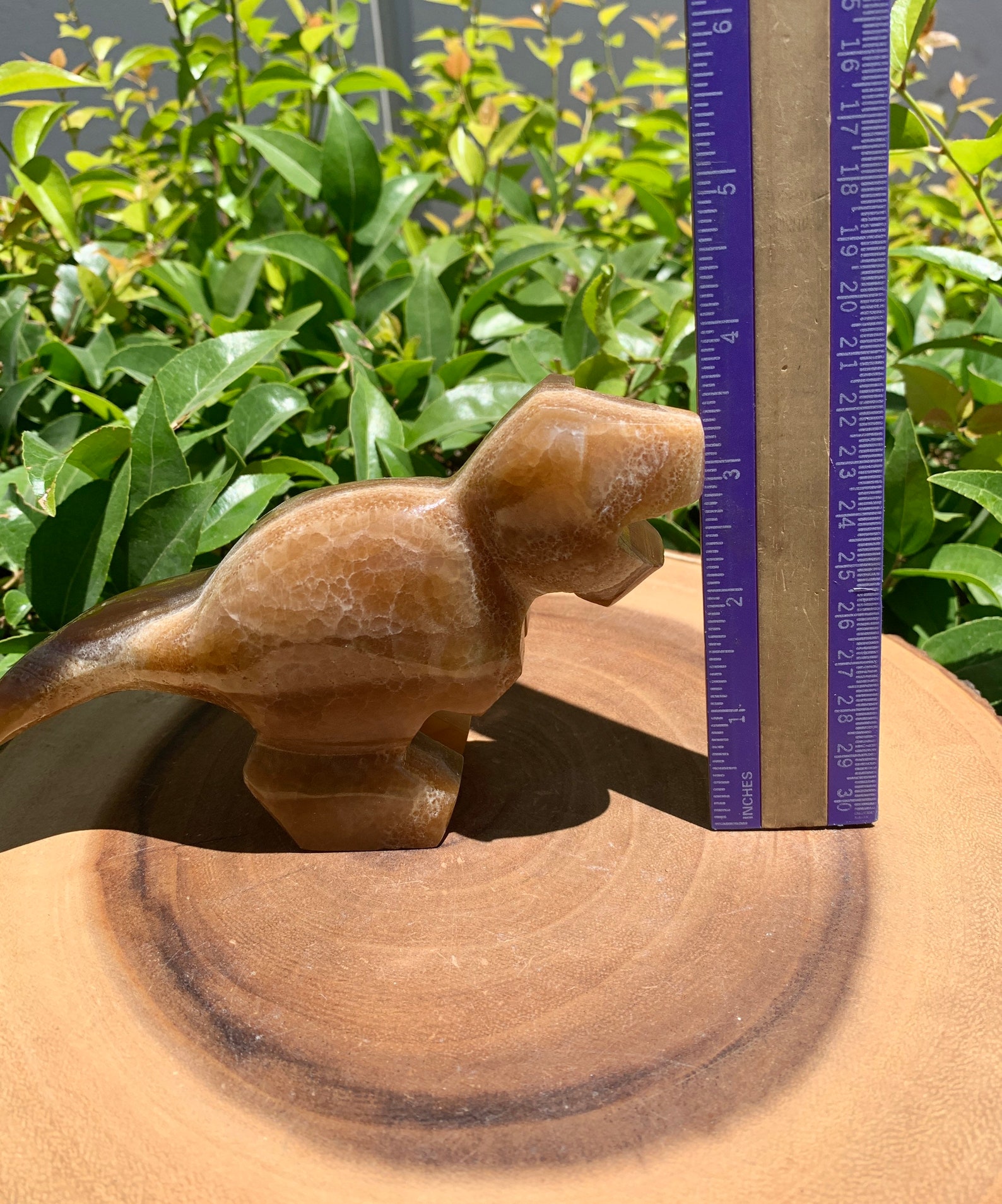 Large Amber Onyx T-rex Carving Tyrannosaurus Carving Stone - Etsy