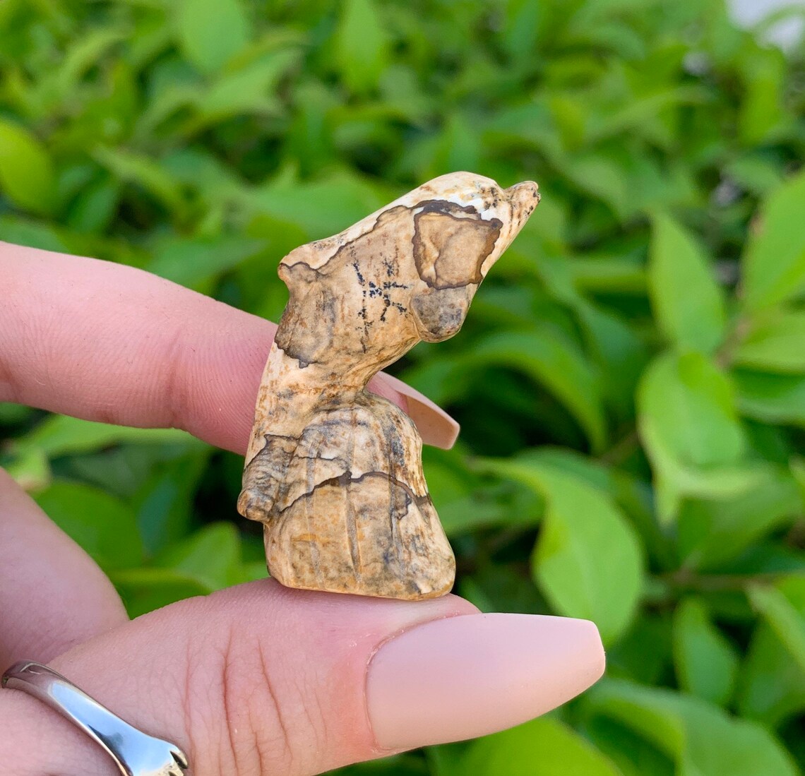 Mini Desert Jasper Dolphin Statue Polished Carving Crystal - Etsy