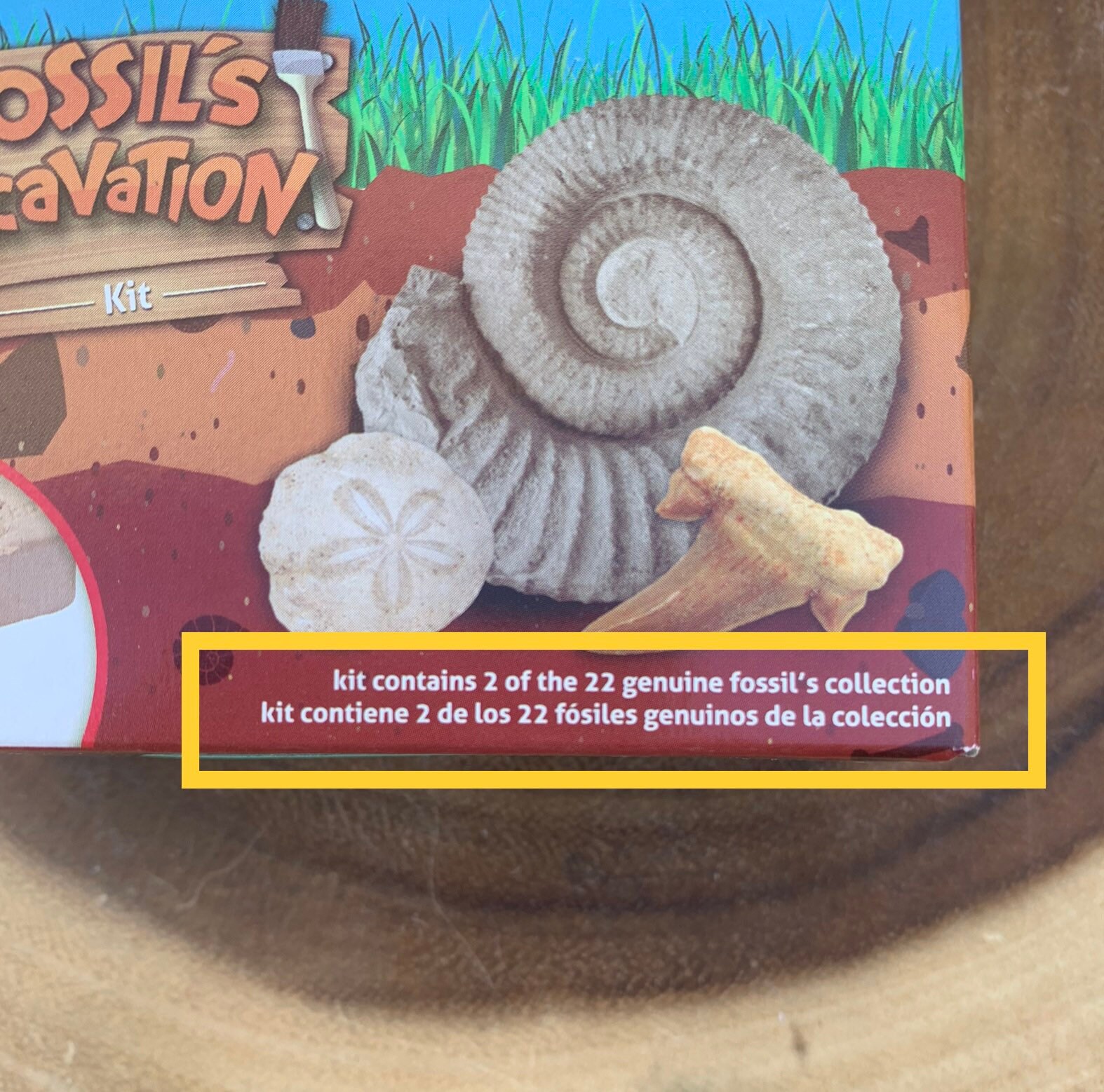 Fossil Excavation Kit for Kids 6 and Up Kids Science Kit Kid - Etsy