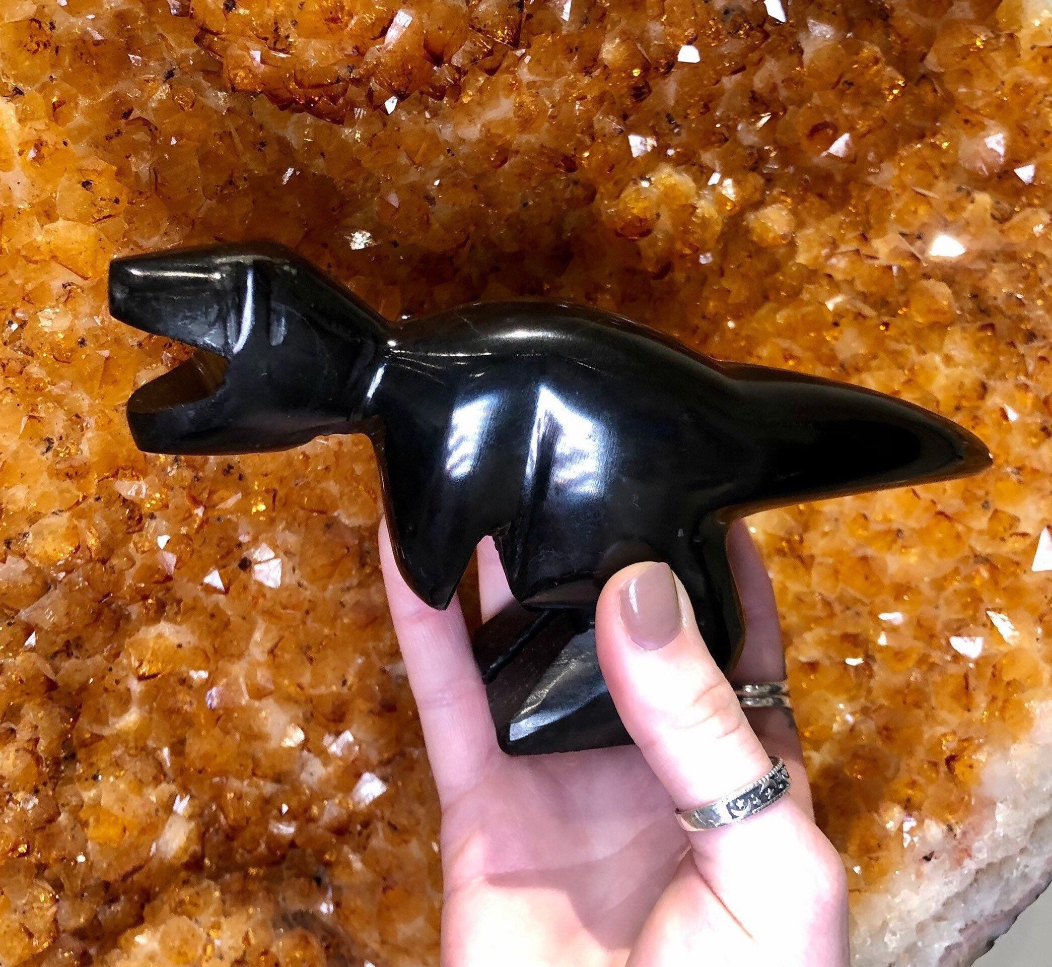 Black Onyx Large T-rex Onyx Dinosaur Dinosaur Carving Onyx - Etsy