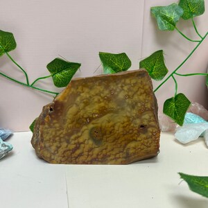 Beautiful Cornflake Agate Specimen (exact Item), 1 Lb 13 Oz, Unpolished ...